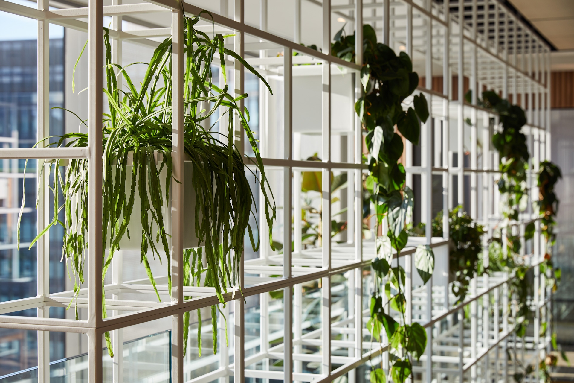 How your office can improve employee wellbeing, why the WELL Building ...